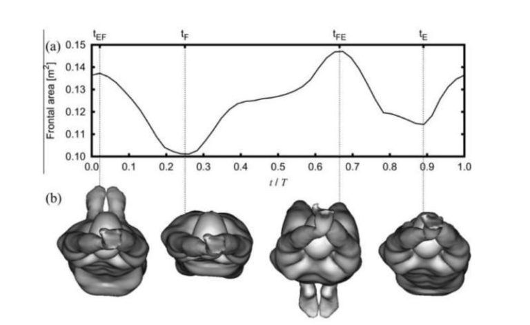 How to Develop an Awesome Underwater Dolphin Kick