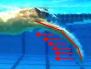 8 Tips for Improving Your Freestyle Stroke