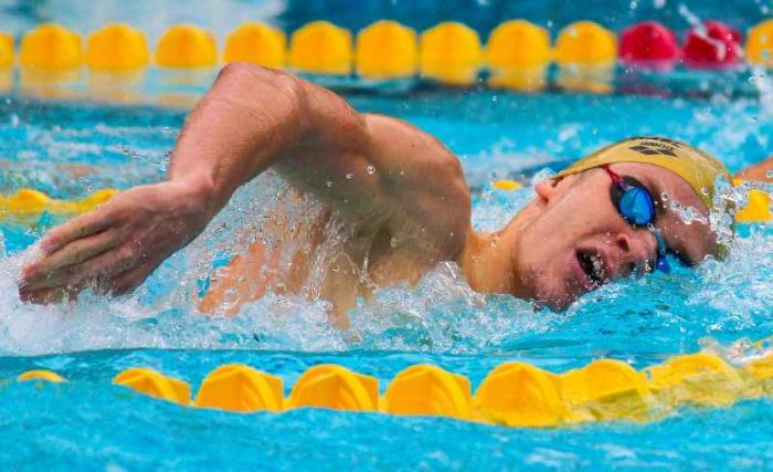 What are the Four Swimming Strokes? (Differences, Features, History ...